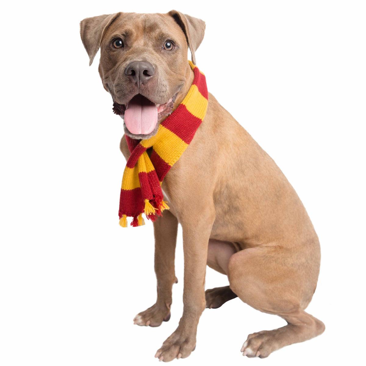 Hipster Wizard Scarf – Ruff Guides